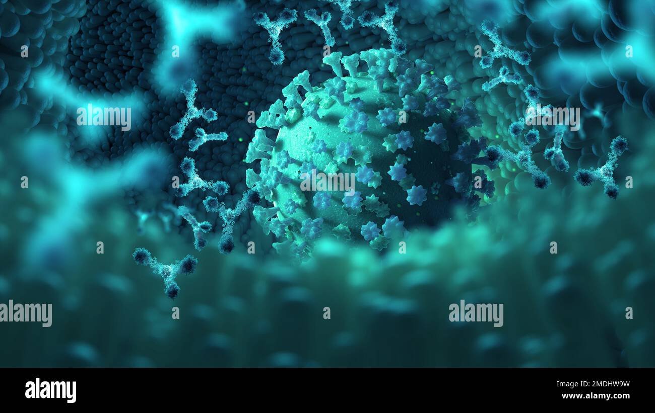 Virus in body. Antibodies in blood. Vaccine. Antibody production ...