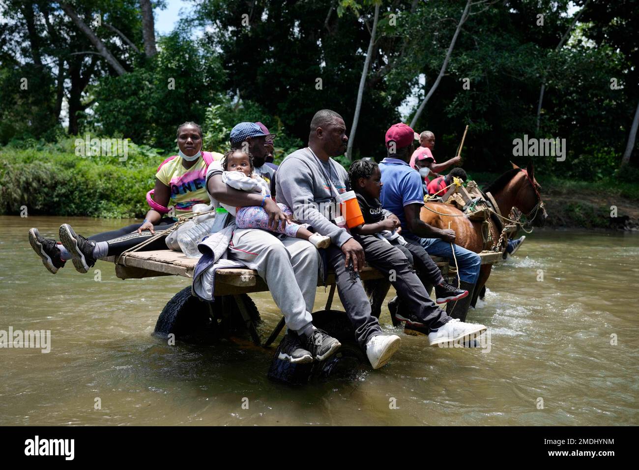 Migrants cross the Acandi River on a horse cart in Acandi, Colombia ...
