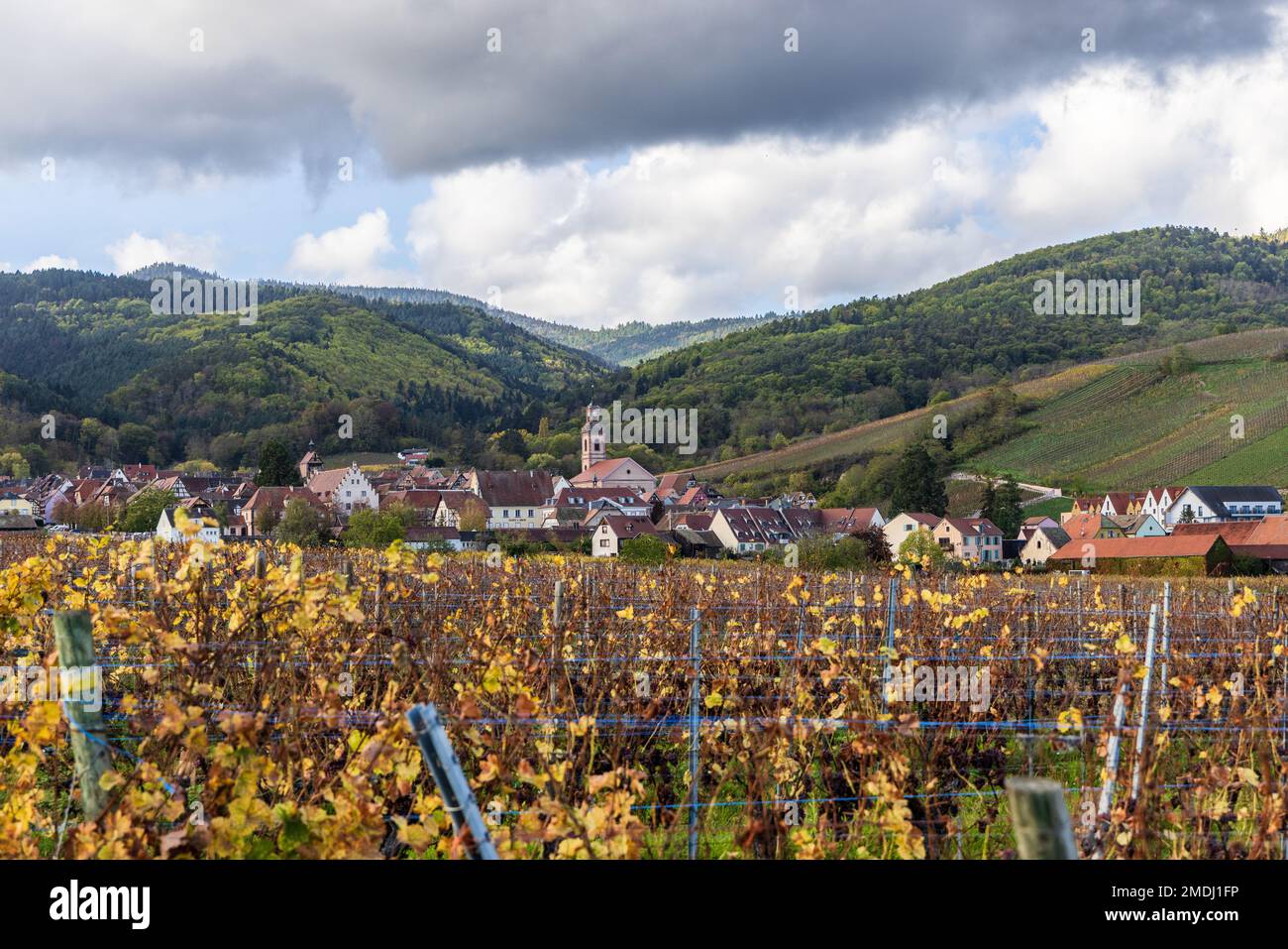 France, Haut-Rhin (68), Route des Vins d'Alsace, Riquewihr labellisé ...