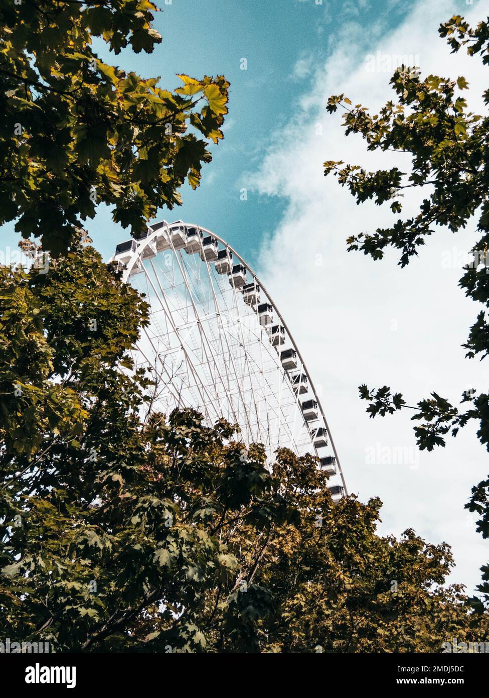 Giant Wheel (Grande Roue De Paris) Amusement Park in Paris, France ...