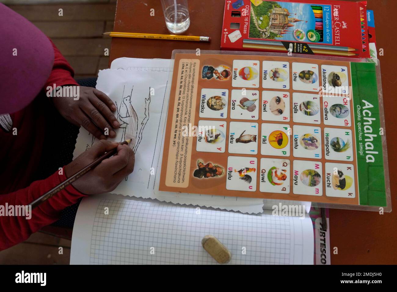 A student colors in a fox during during Quechua Indigenous language ...