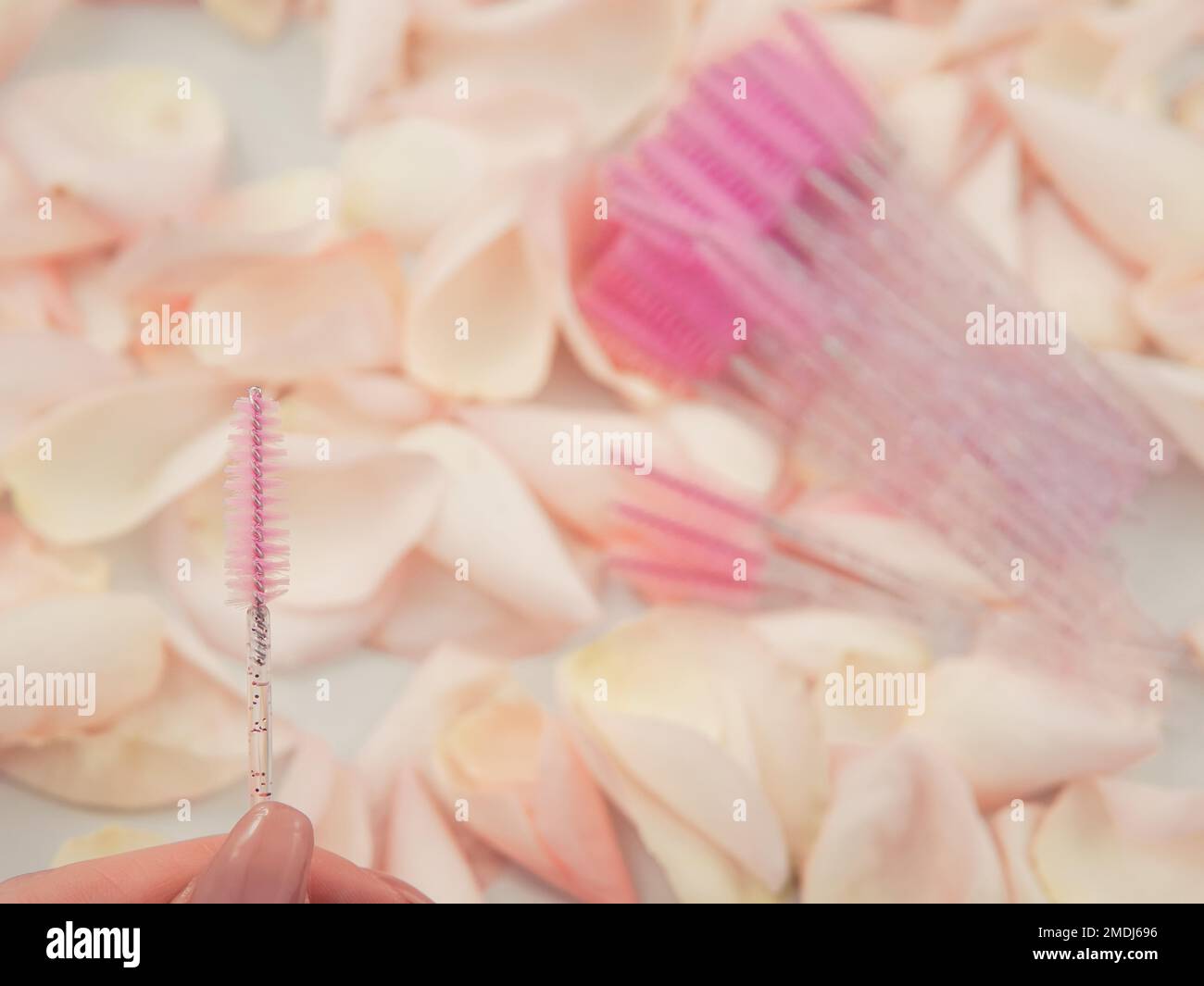 Set of pink brushes hi-res stock photography and images - Alamy