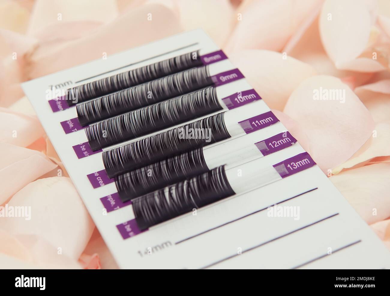 Close up master lash maker hi-res stock photography and images - Alamy