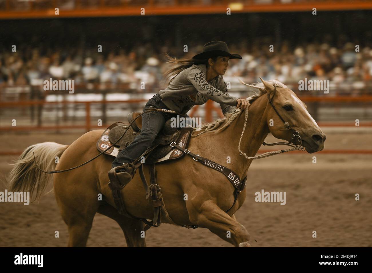 A barrel racer races through the course during Cheyenne Frontier Days ...