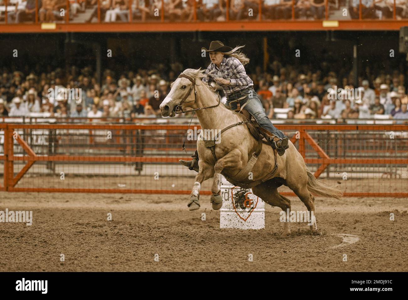 A barrel racer races through the course during Cheyenne Frontier Days ...