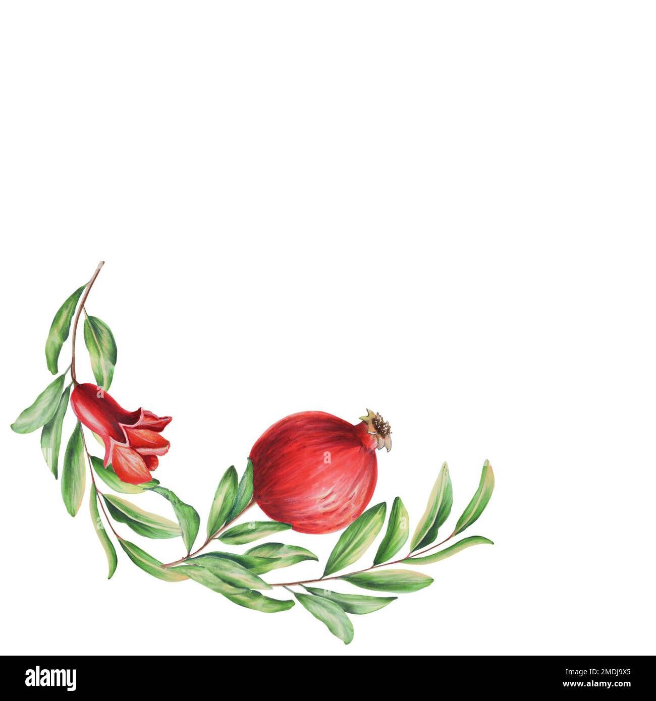 Watercolor pomegranate frame with a branch. Ripe slice, flowers and ...