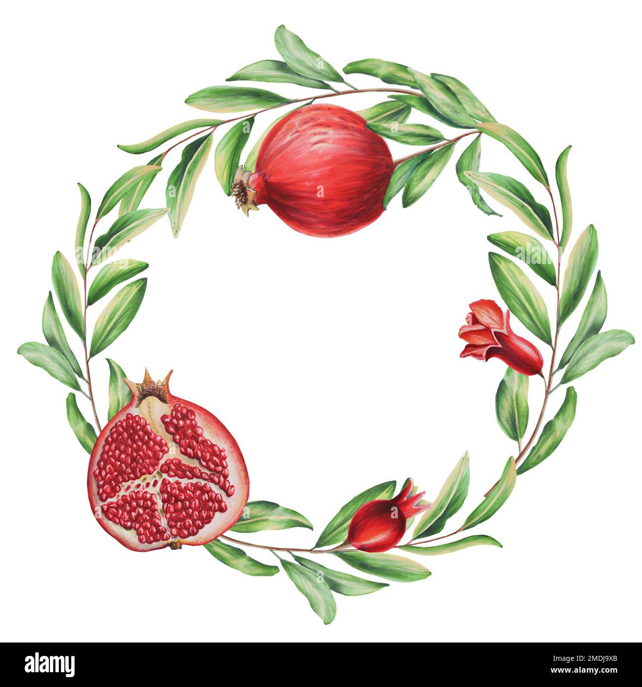 Watercolor pomegranate frame with a branch. Ripe slice, flowers and ...