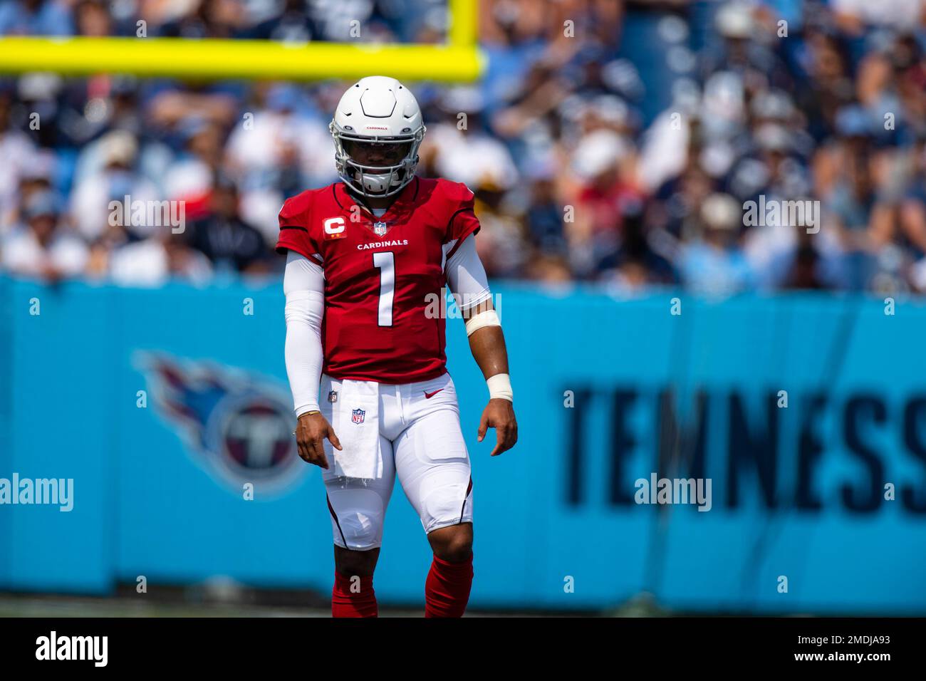Arizona Cardinals quarterback Kyler Murray (1) stands on the field ...