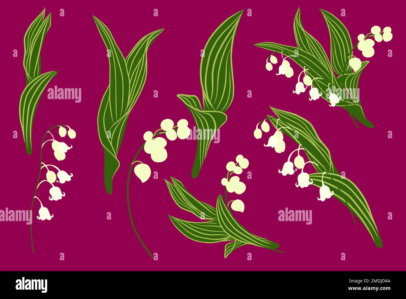 Spring set with lily of the valley flowers and herbs. Botanical illustration Stock Vector Image ...