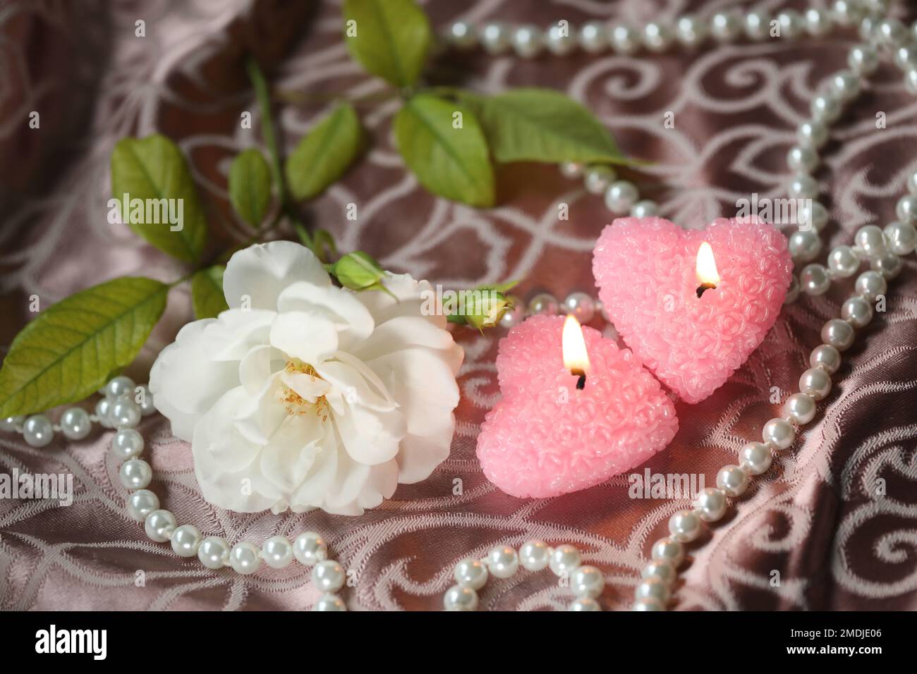 white beautiful rose with candles. romantic. copy space Stock Photo - Alamy