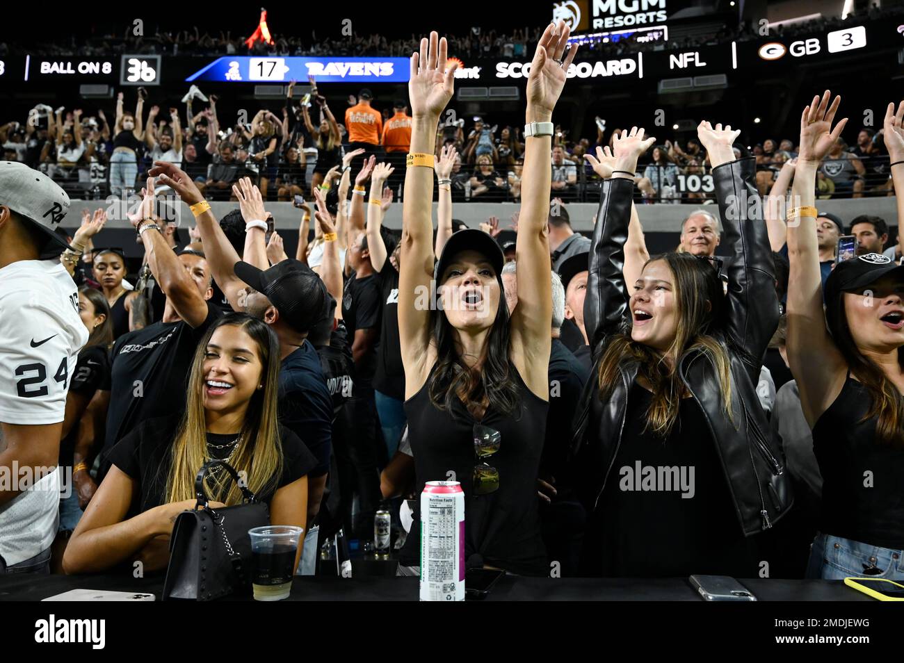 Fans cheer during the second half of an NFL football game between the ...