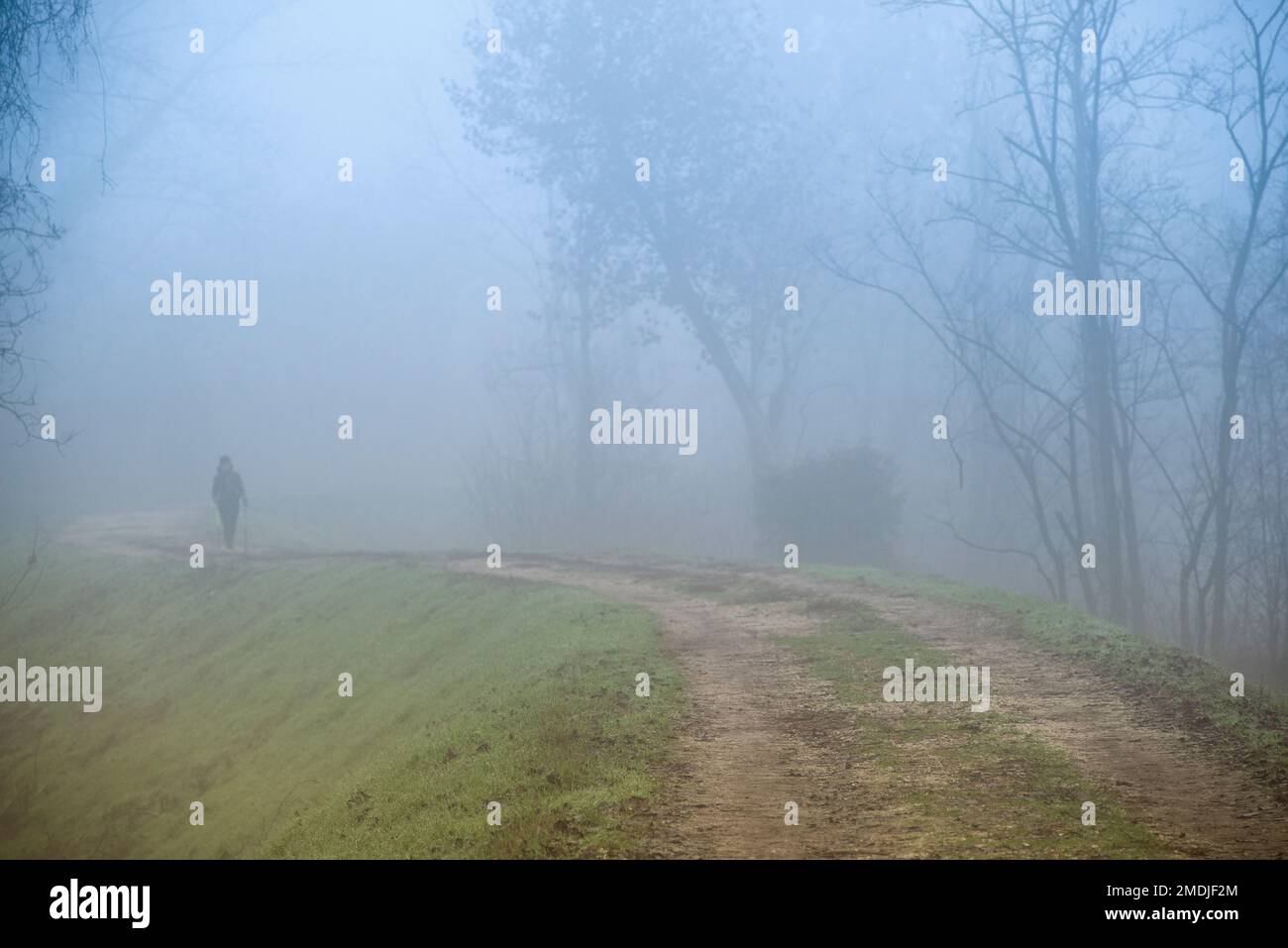 Italy, Lombardy, Countryside near Crema, Woman Walking on a Foggy ...