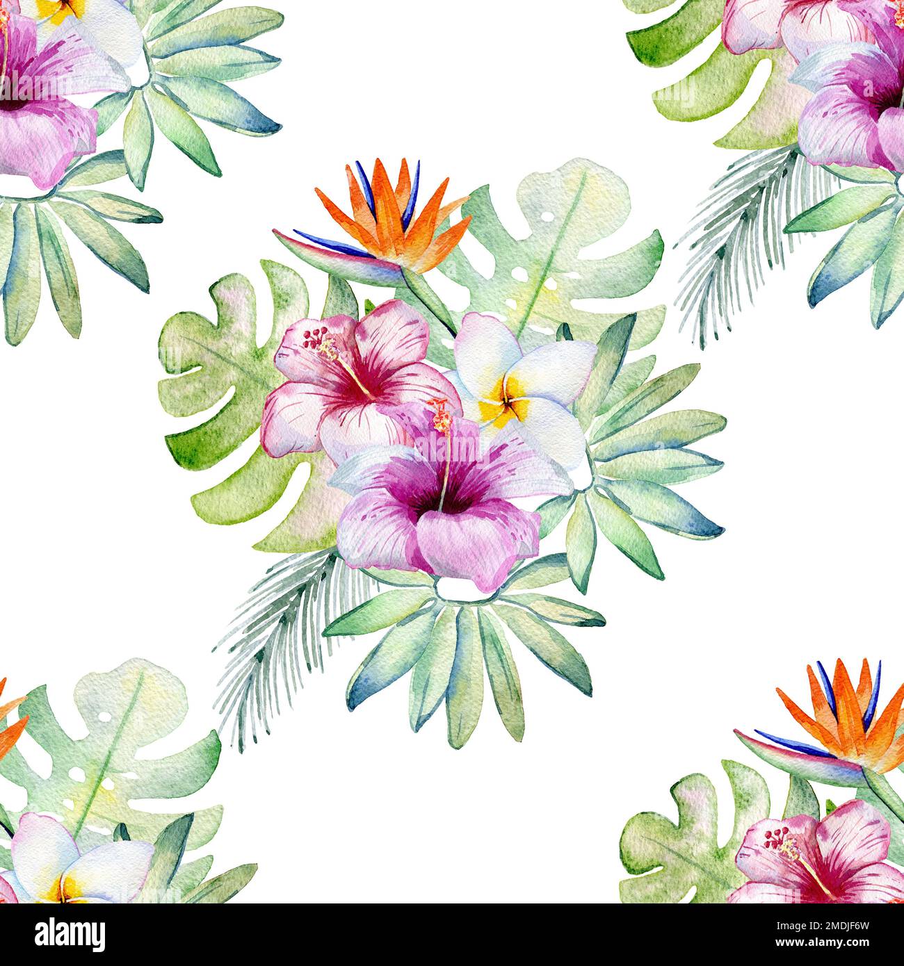 Tropical seamless pattern Stock Photo - Alamy