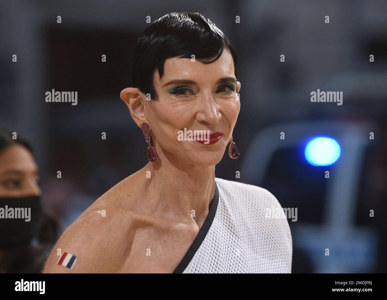 Amy Fine Collins attends The Metropolitan Museum of Art's Costume ...