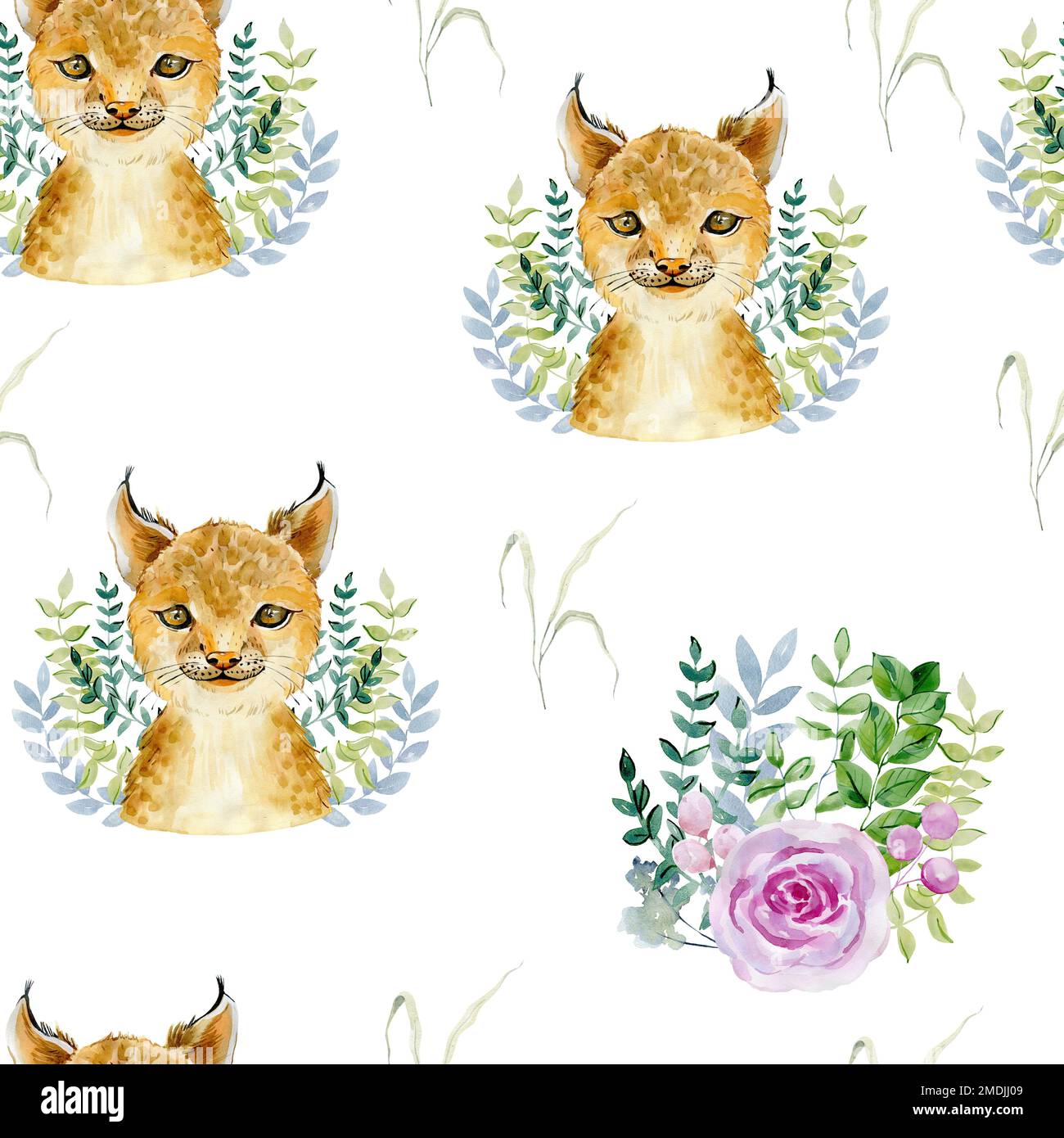 Bobcat face Cut Out Stock Images & Pictures - Alamy