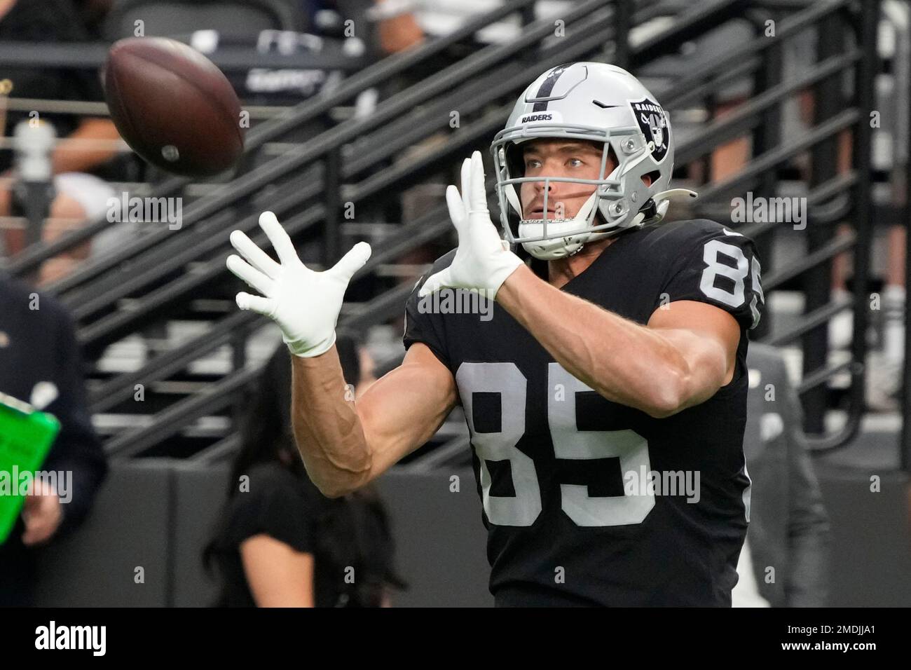 Raiders Cute Logo Tags