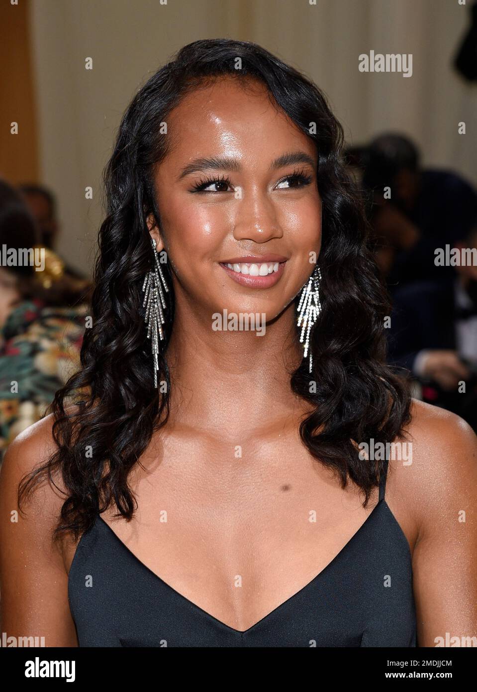 Leylah Fernandez attends The Metropolitan Museum of Art's Costume ...