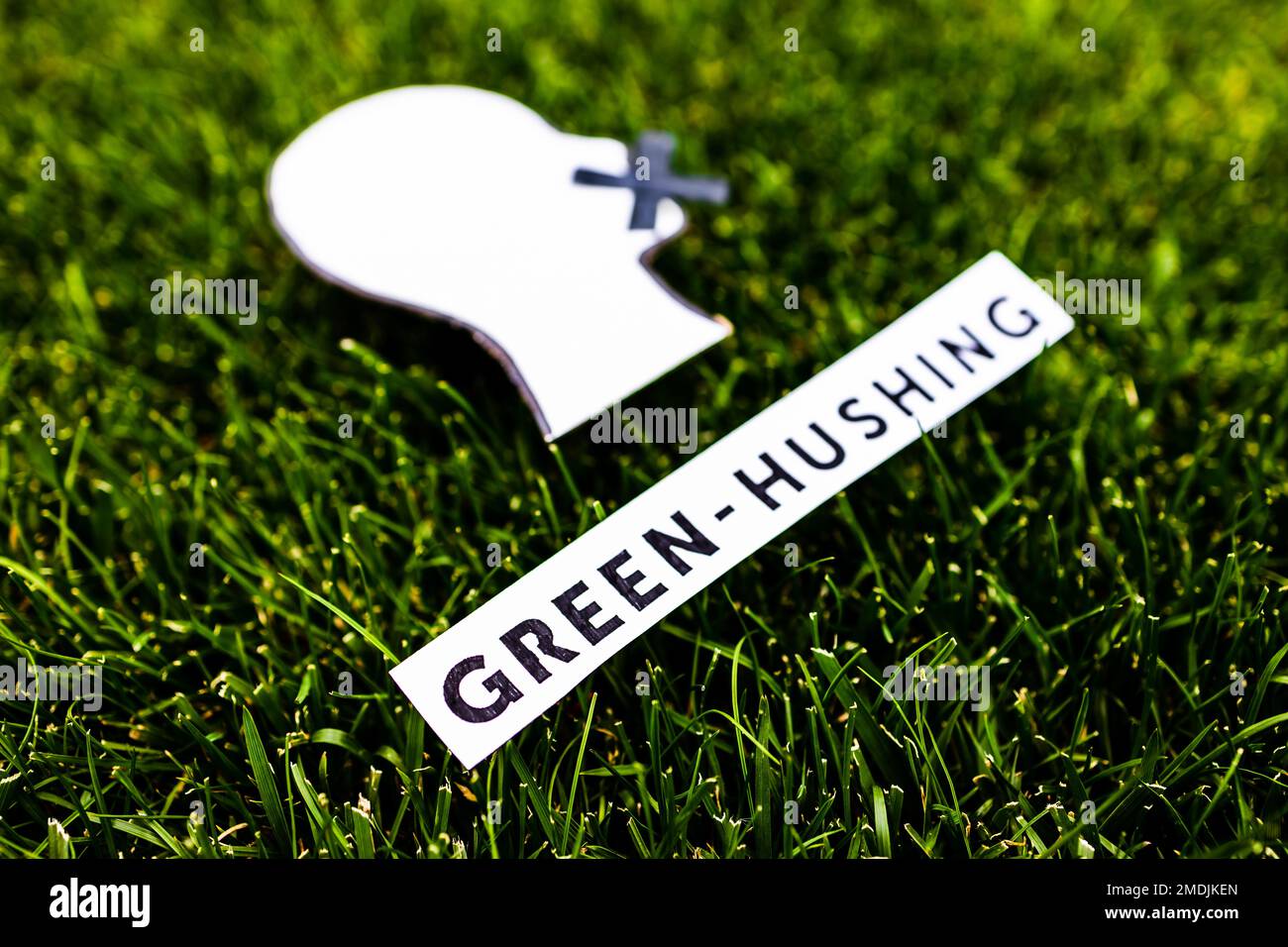 green-hushing concept about companies staying silent about their ...