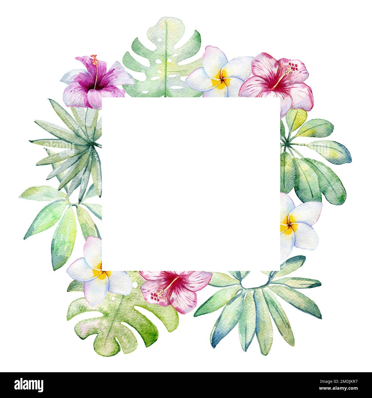 watercolor tropical frame Stock Photo - Alamy
