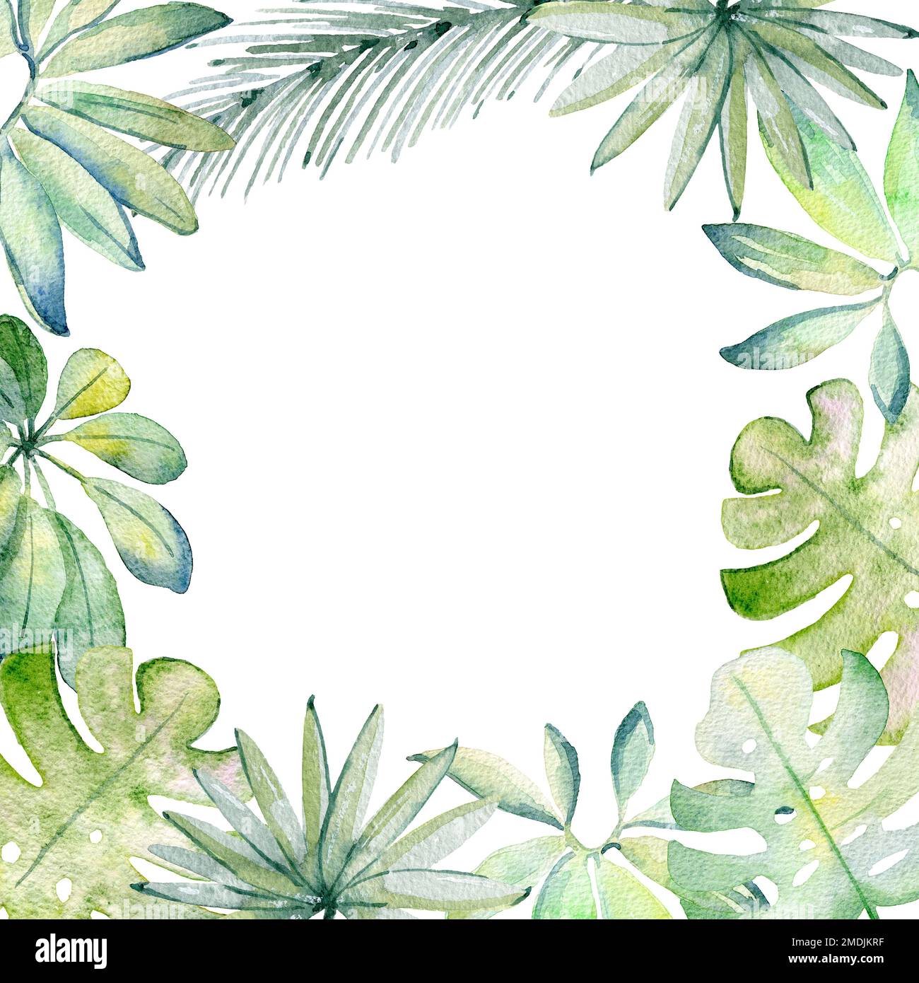 watercolor tropical frame Stock Photo - Alamy