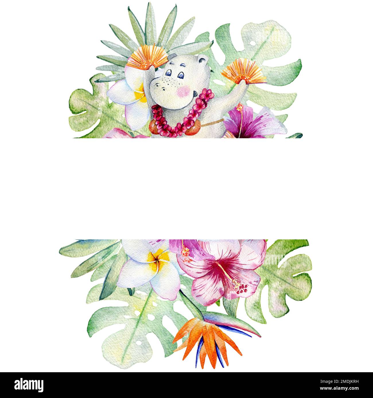 watercolor tropical frame Stock Photo - Alamy