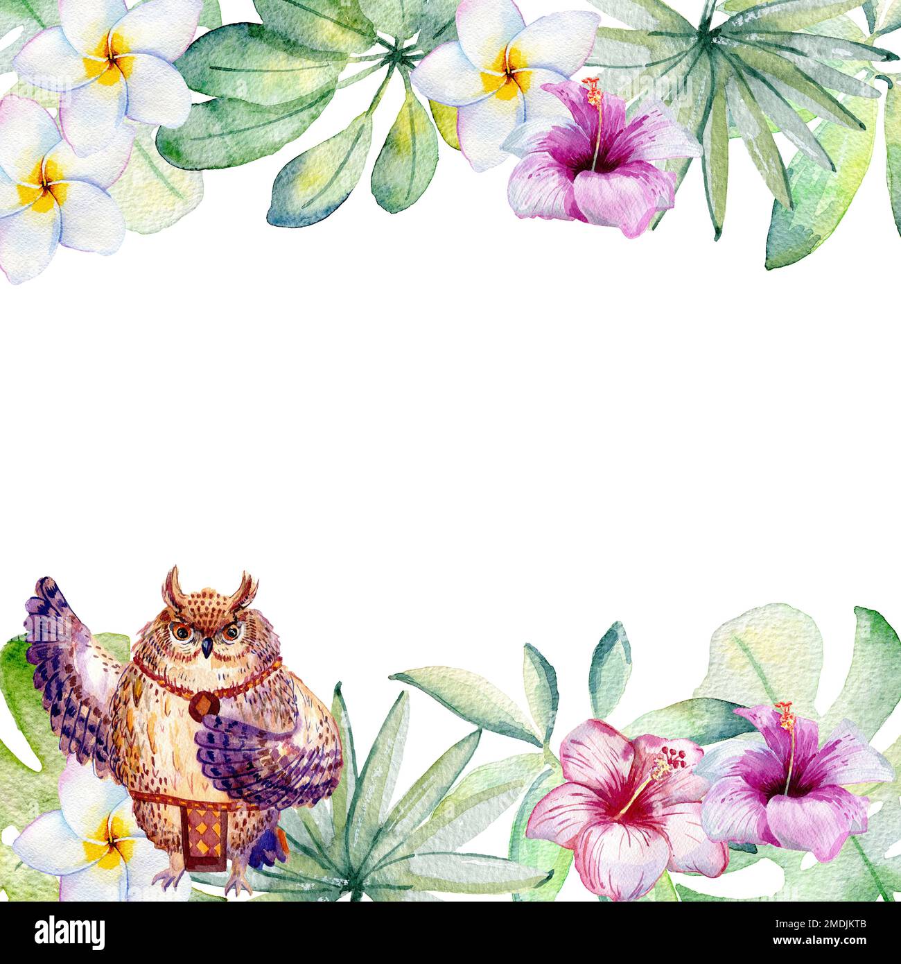 watercolor tropical frame Stock Photo - Alamy