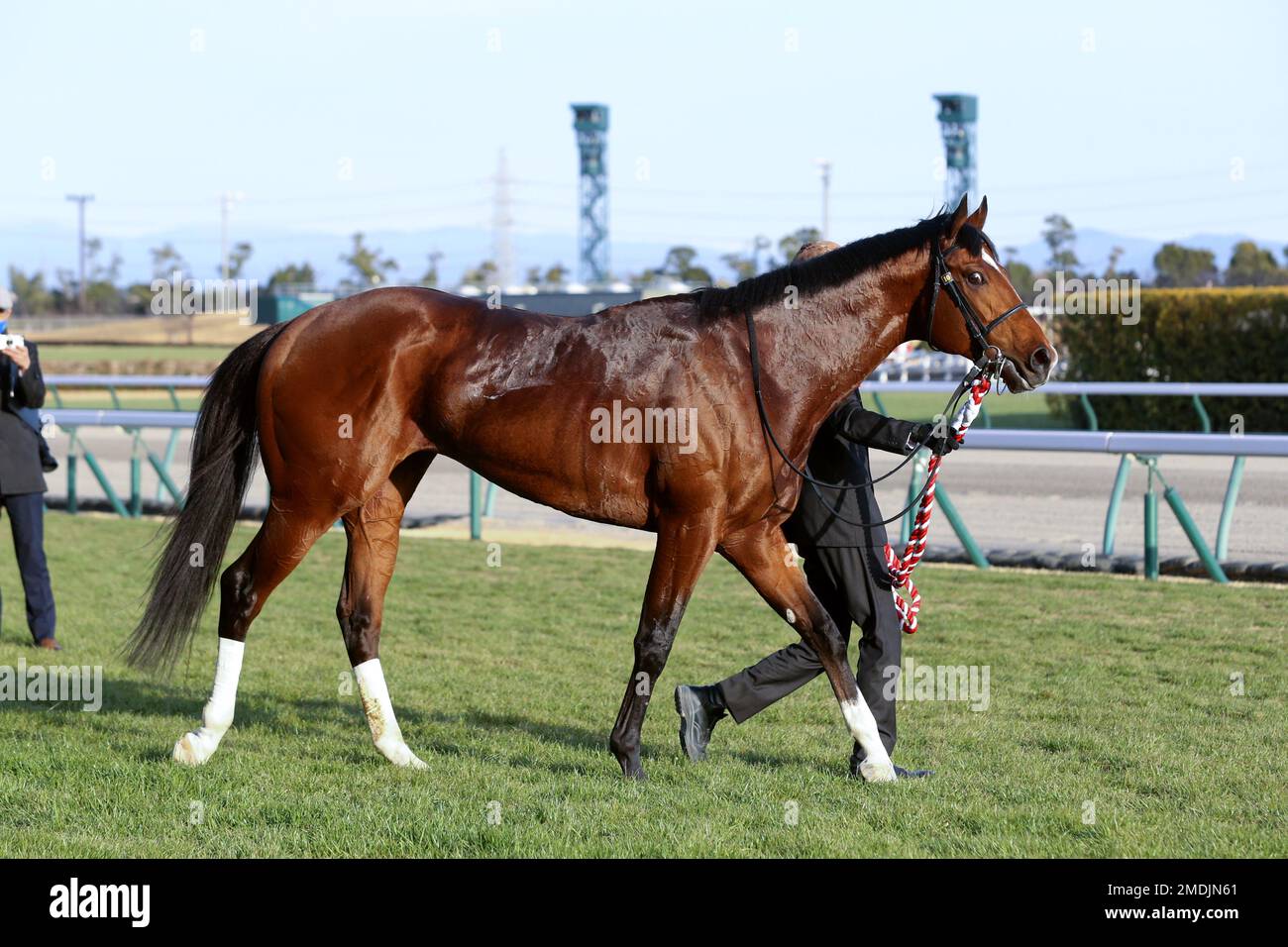Tokai tv hi-res stock photography and images - Alamy