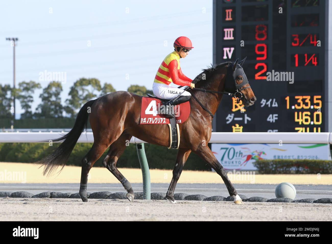 Tokai tv hi-res stock photography and images - Alamy