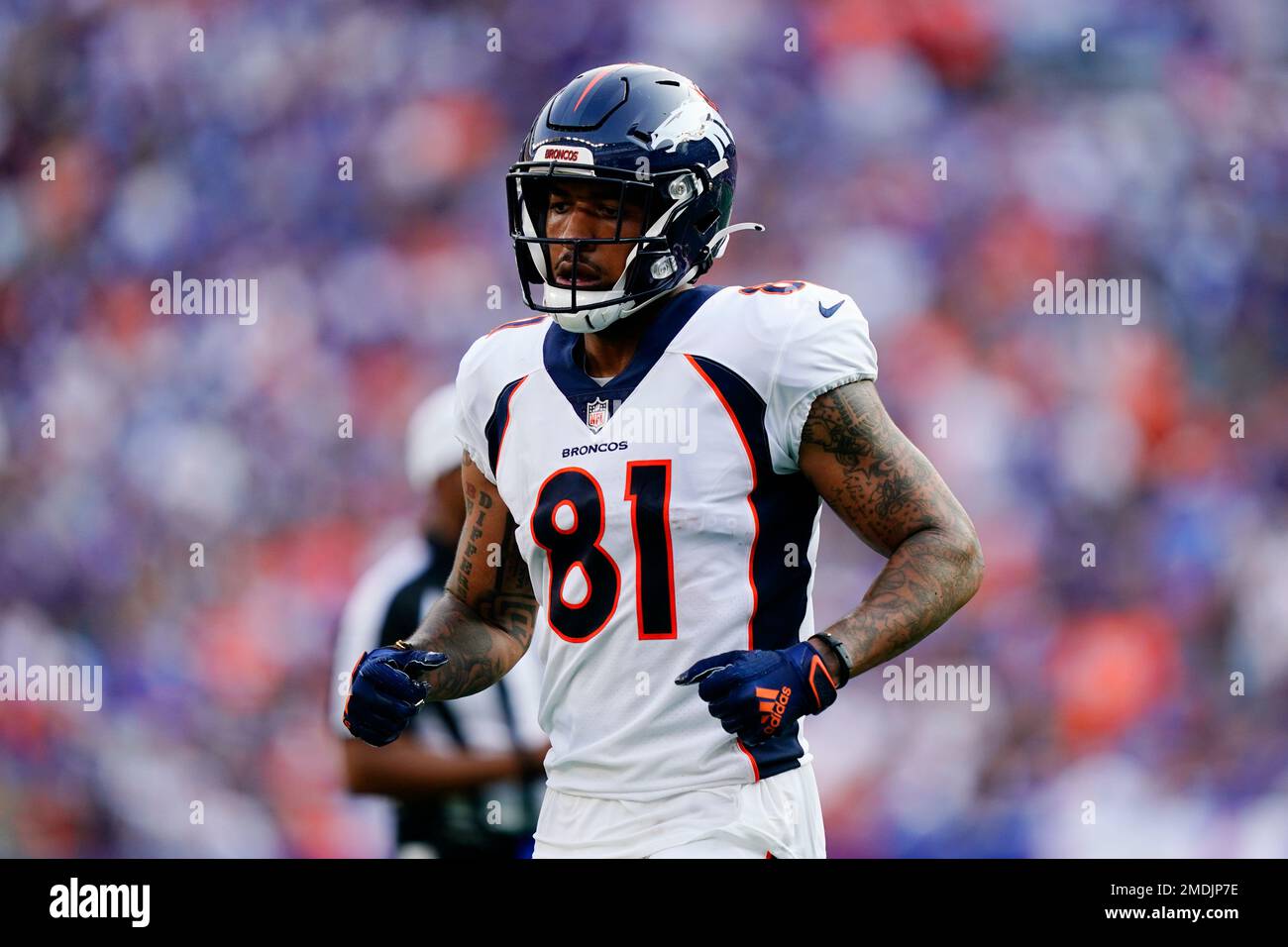Denver Broncos wide receiver Tim Patrick in action during an NFL ...