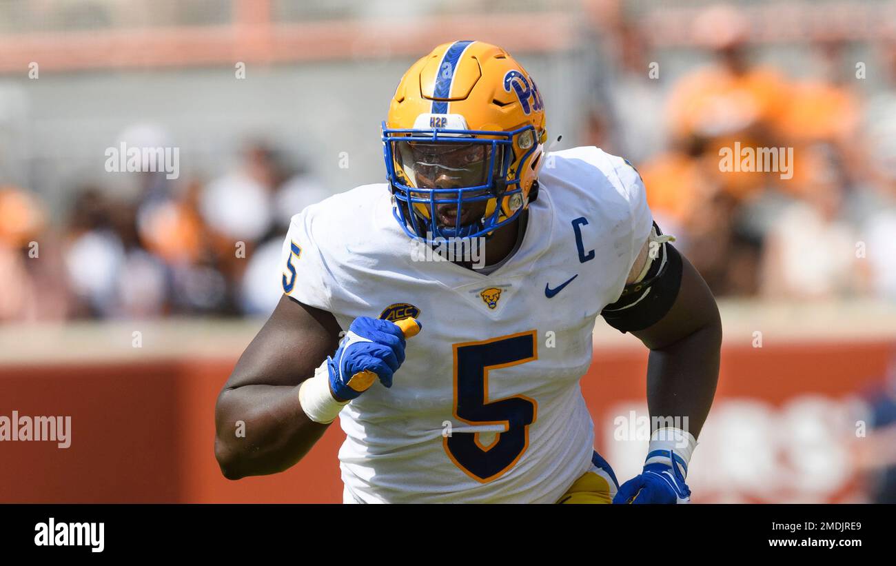 Pittsburgh defensive lineman Deslin Alexandre plays during an NCAA ...