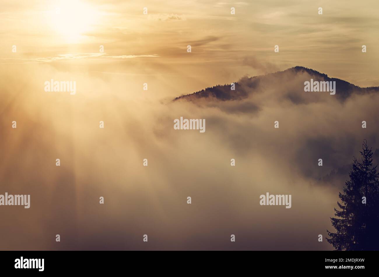 Foggy morning landscape Stock Photo - Alamy