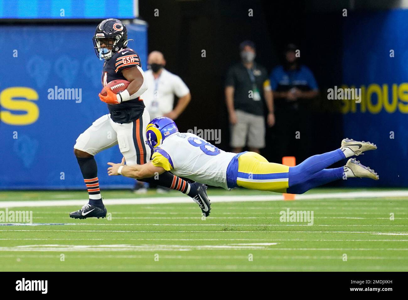 Chicago Bears Are Gay