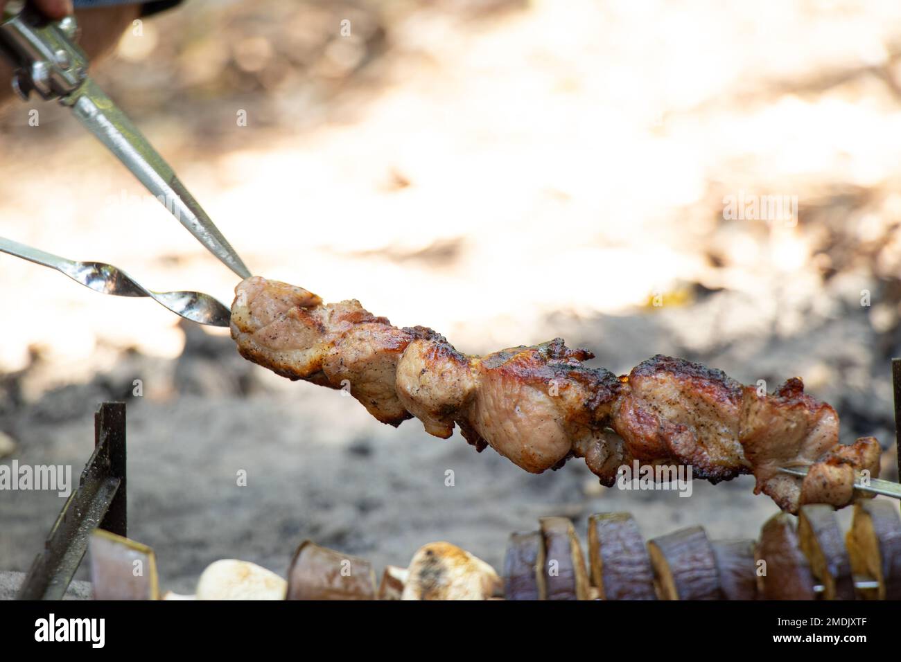 fried shish kebab on a fire in the forest on a picnic on skewers, roast ...