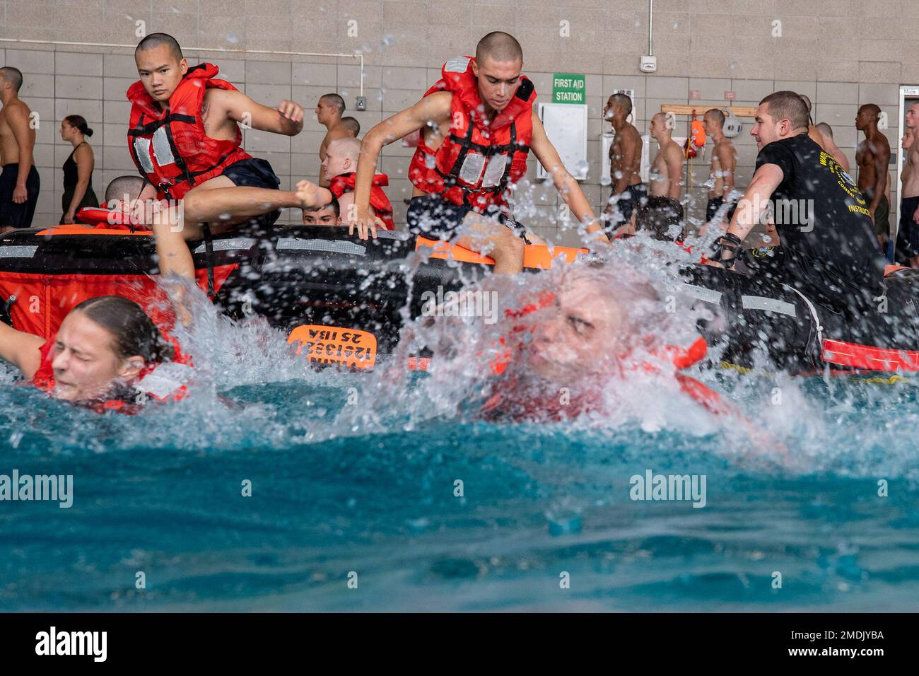 Life cycle completion hi-res stock photography and images - Alamy