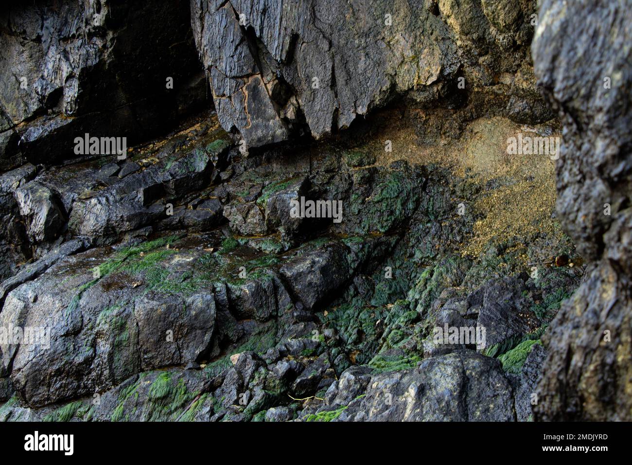 moss on granite stones at an old quarry as a background, moss on stones ...