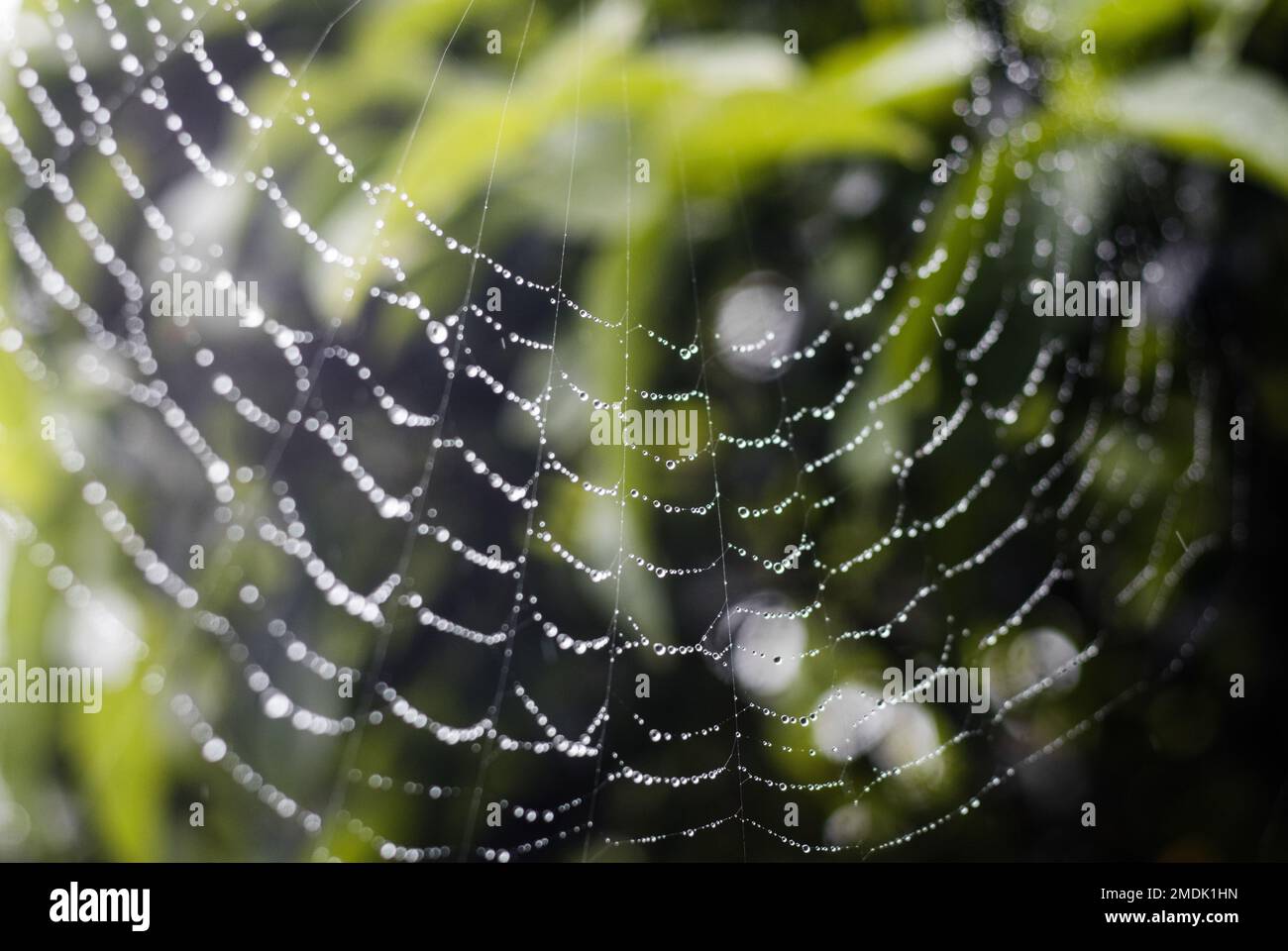 Dusty drop hi-res stock photography and images - Alamy