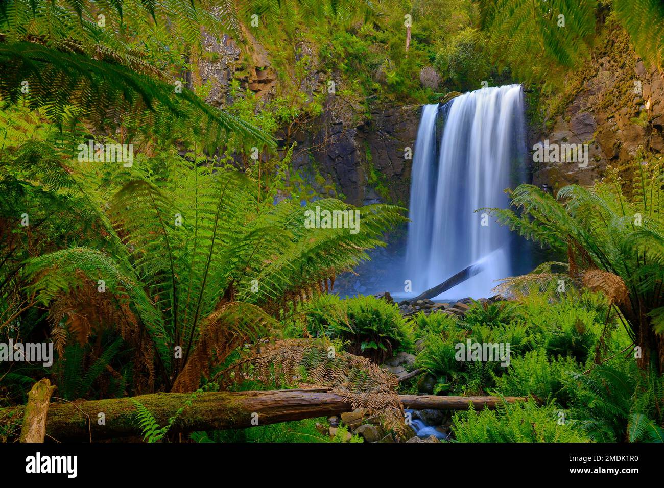 River aire trees hi-res stock photography and images - Alamy