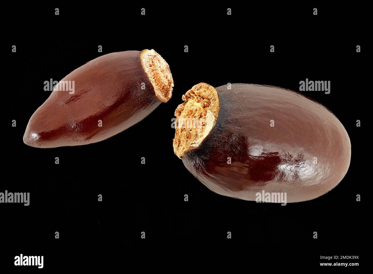 Litchi chinensis flowers hi-res stock photography and images - Alamy