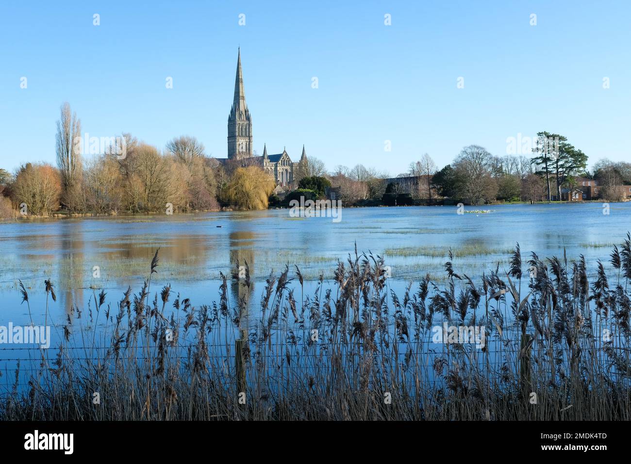 2023 Floods in Salisbury. Salisbury Cathedral viewed from the Town Path ...