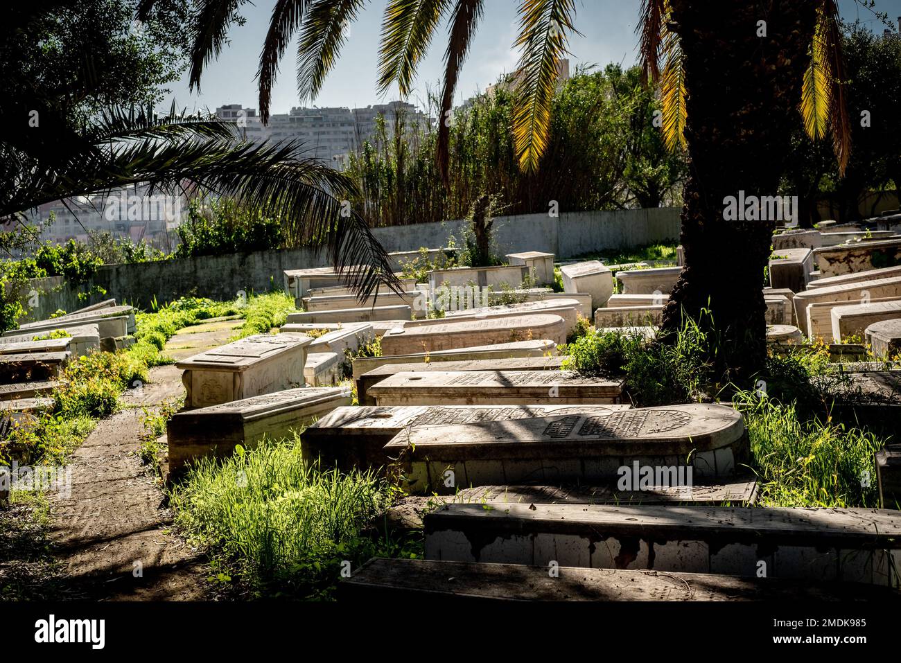 Beit Hahayim - Jewish Cemetery in Tangier, Morocco Stock Photo - Alamy