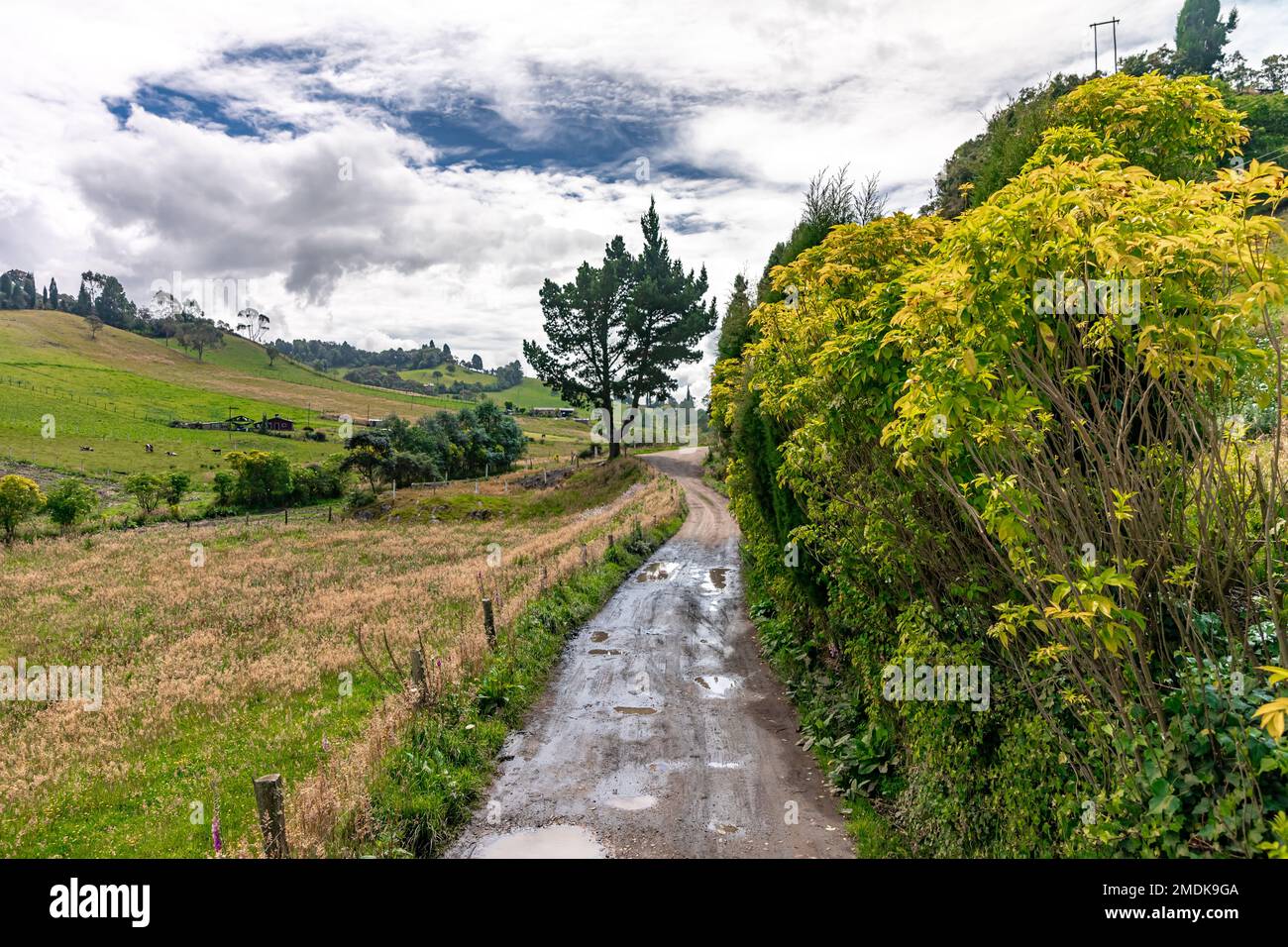 forests and mountains in the beautiful Colombian nature Stock Photo - Alamy