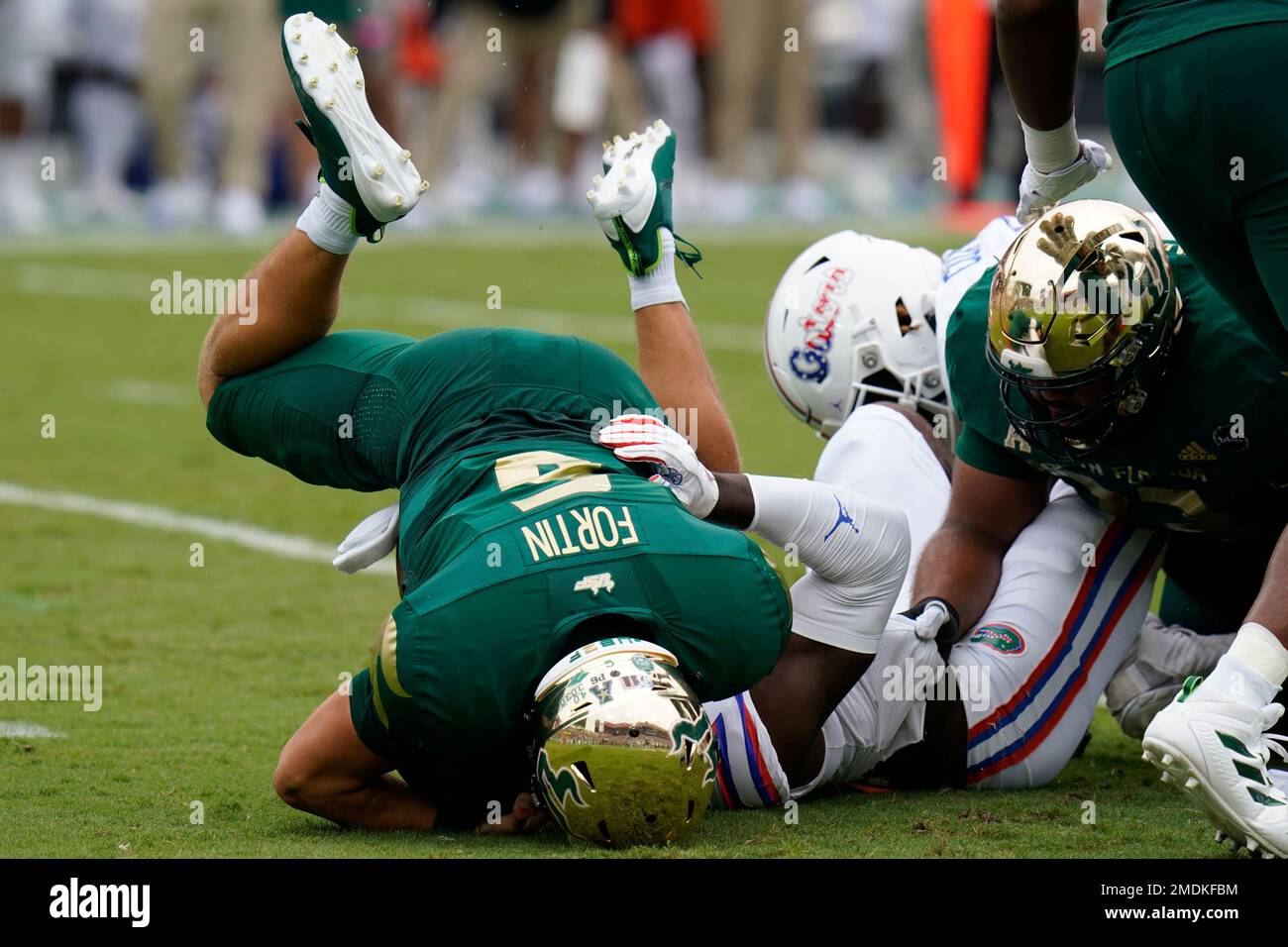 South Florida quarterback Cade Fortin gets sacked by Florida linebacker ...