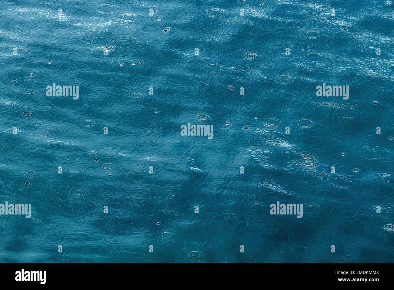 Drizzle rain concentric circles on sea water surface during storm Stock ...