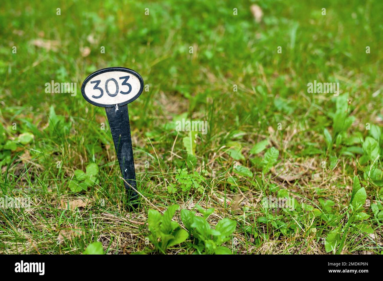 sign marking a grave field in a cemetery, Austria Stock Photo - Alamy