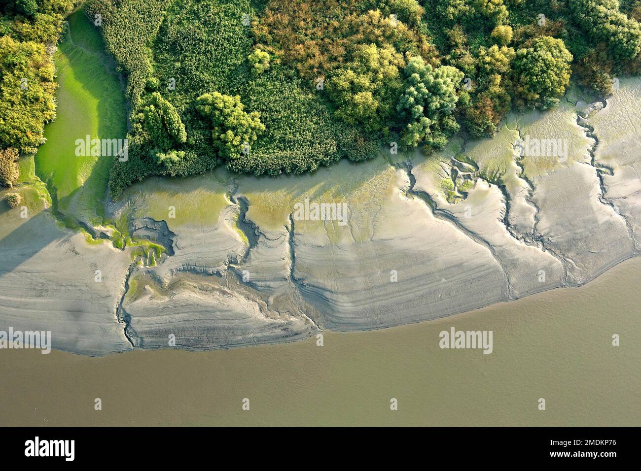 freshwater tidal salt marsh, aerial view, Belgium, East Flanders ...