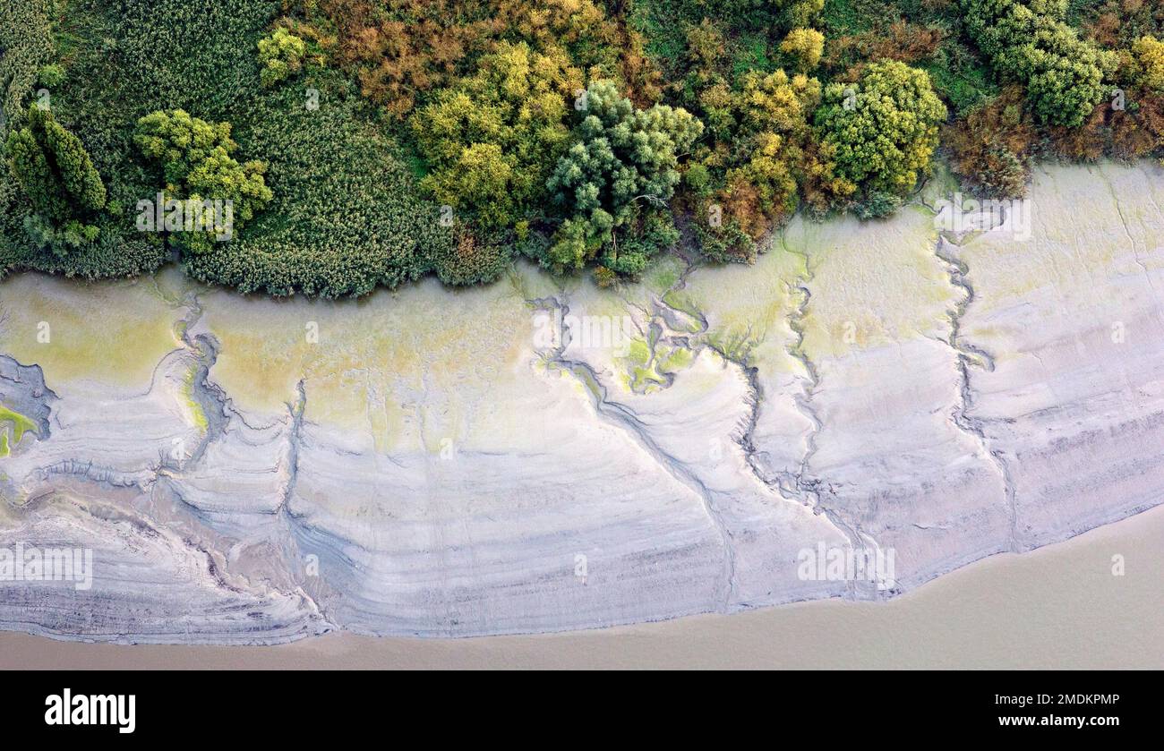 freshwater tidal salt marsh, aerial view, Belgium, East Flanders ...