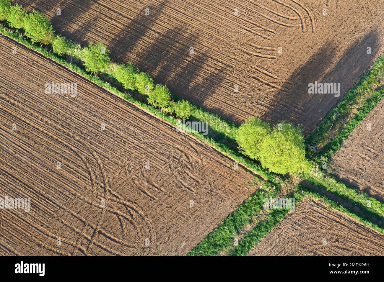 Row trees hi-res stock photography and images - Alamy
