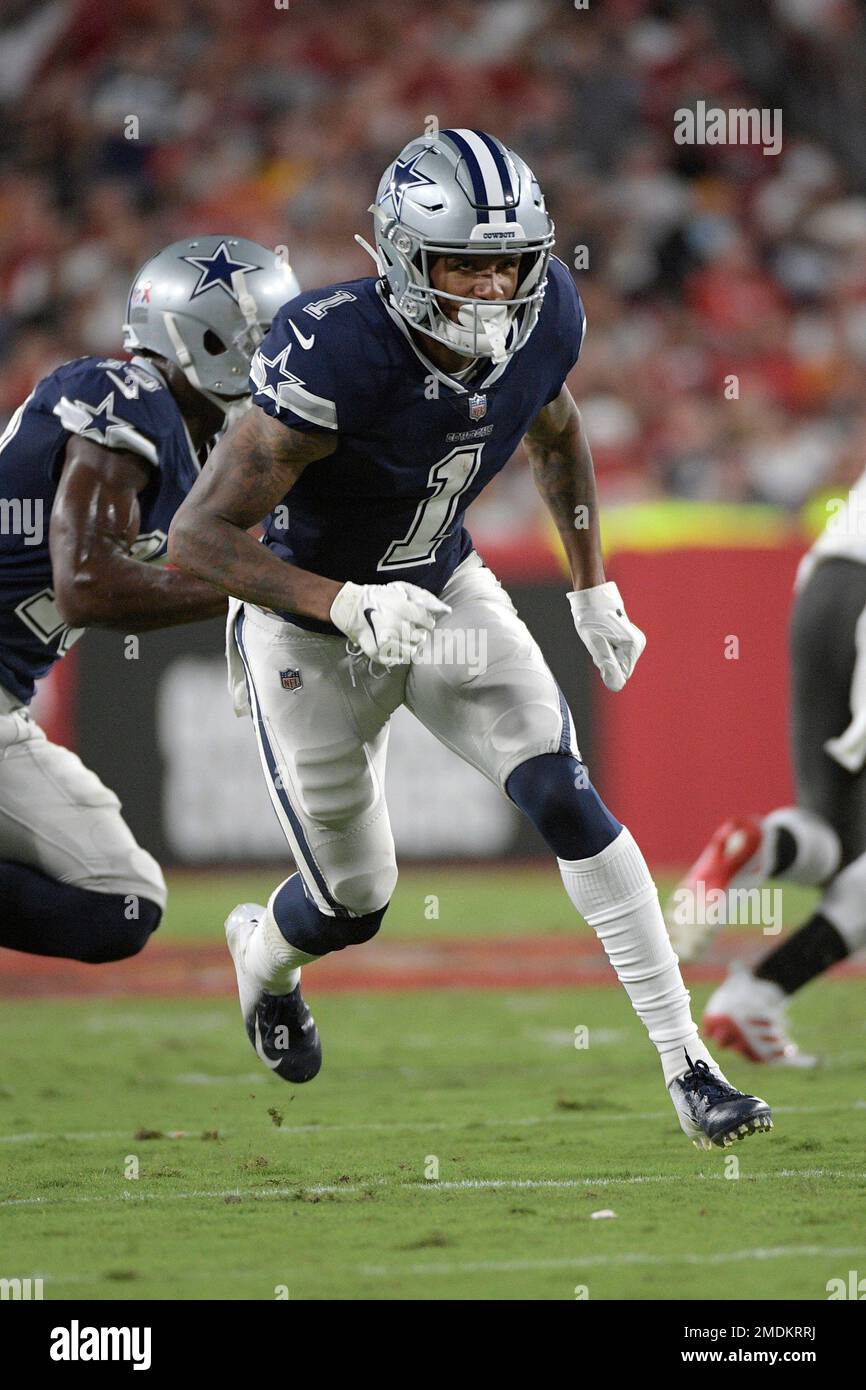 Dallas Cowboys wide receiver Cedrick Wilson (1) runs a route during the ...