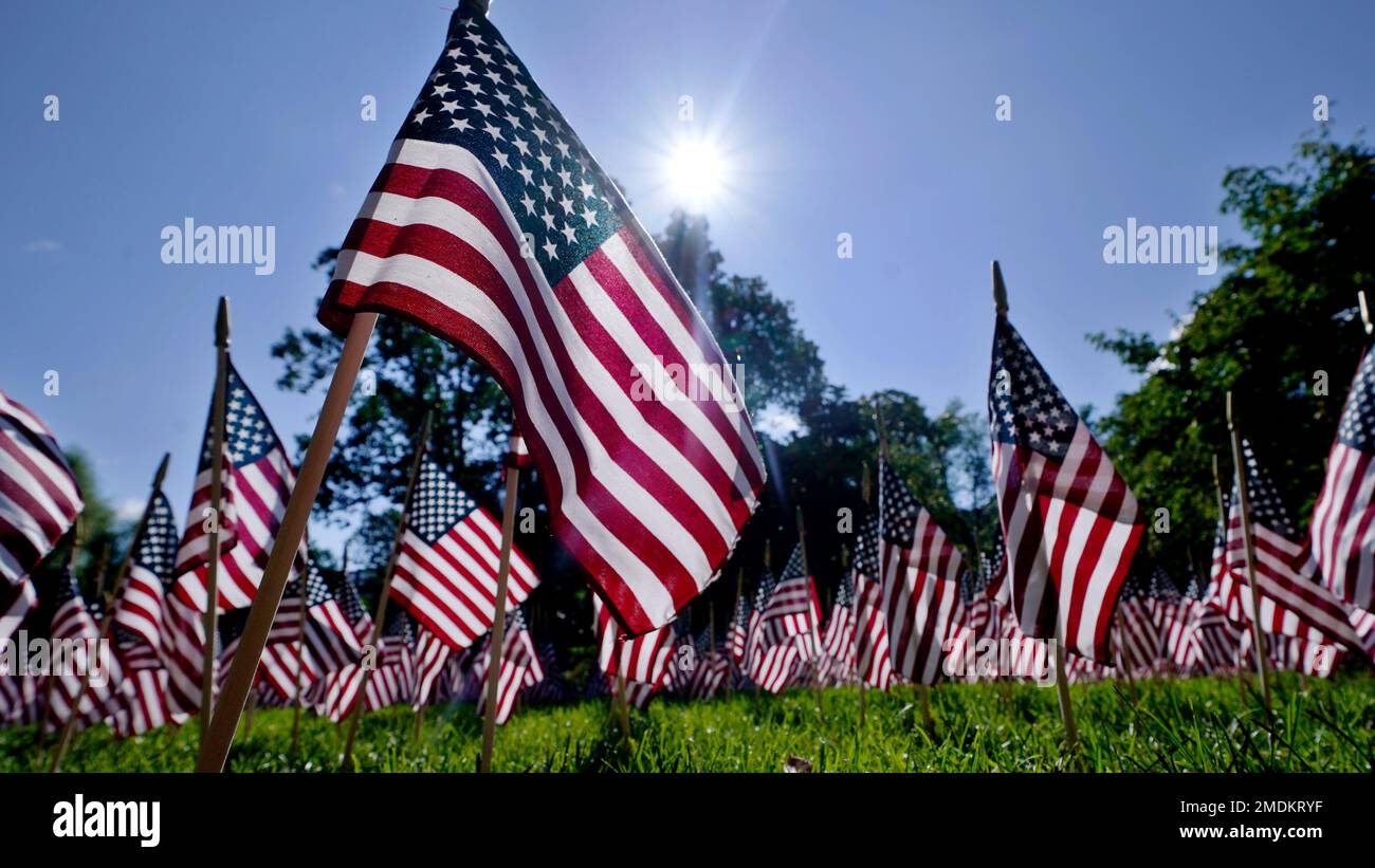 The sunrises over nearly 3,000 flags, each representing a victim lost ...