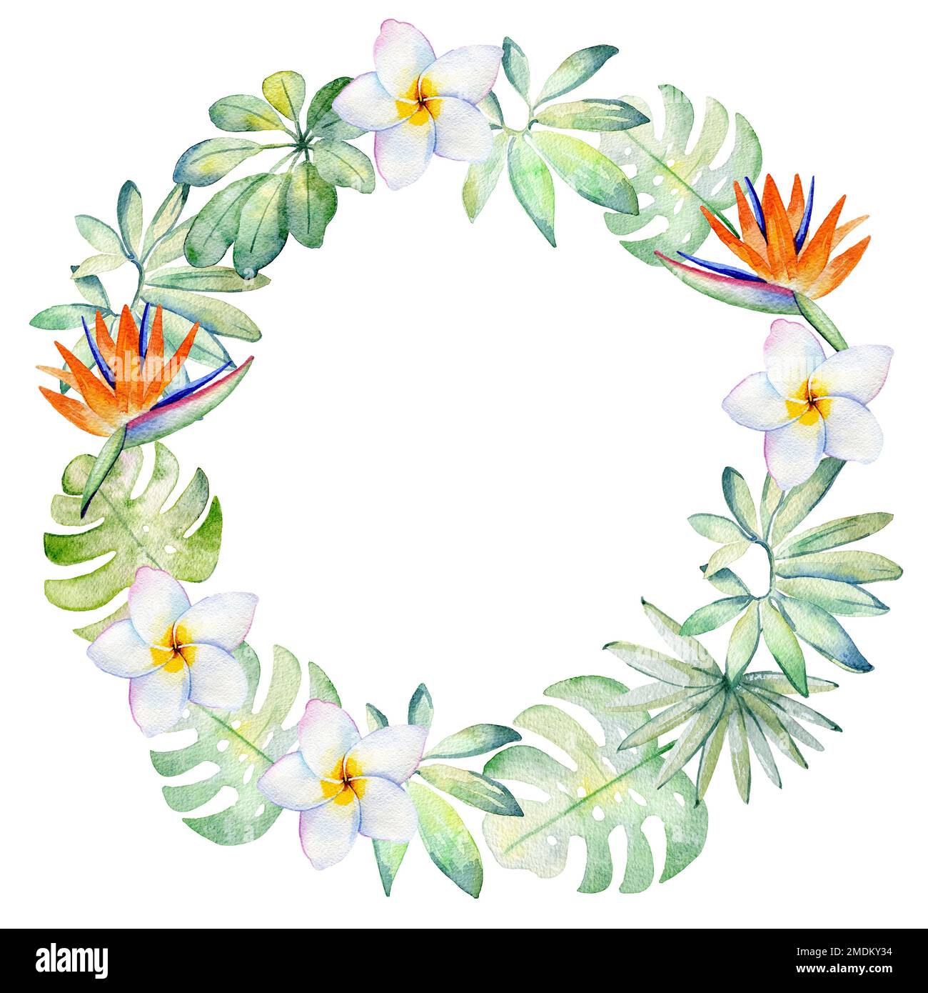 watercolor tropical wreath Stock Photo - Alamy